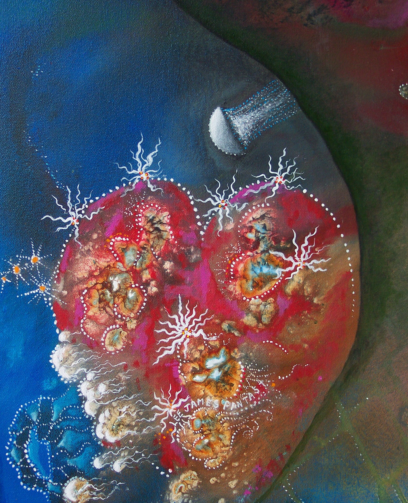 10 The Heart of the Reef